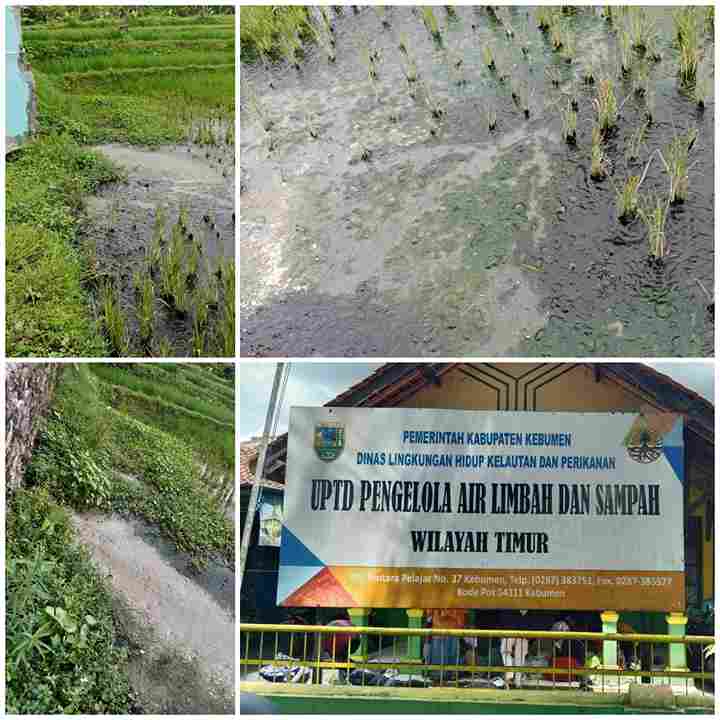 KEJI DAN AROGAN "Skandal Prilaku Buruk MBG Plumbon: Beroperasi 'Gelap ...